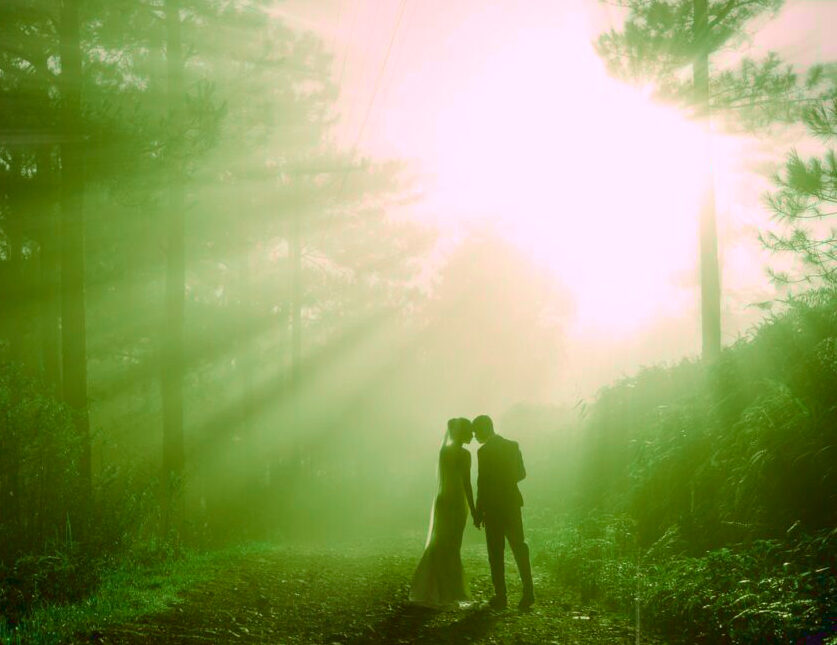 29 Green Flags of The High Value Man (HVM) - SK Lumen | Glow Up Into ...